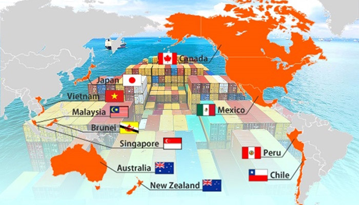 CPTPP to help Vietnam accelerate reforms