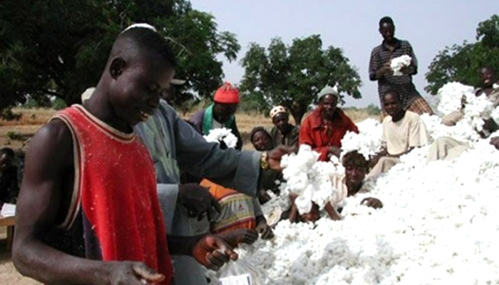 Cameroon to dedicate part of EU budget support to cotton