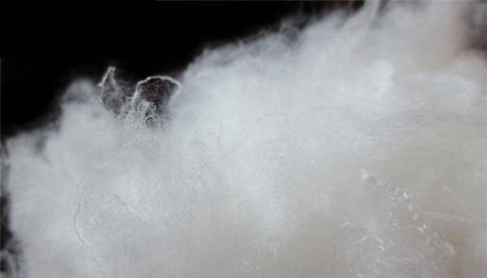 Exports of Nylon staple fibre grows in 2016-18