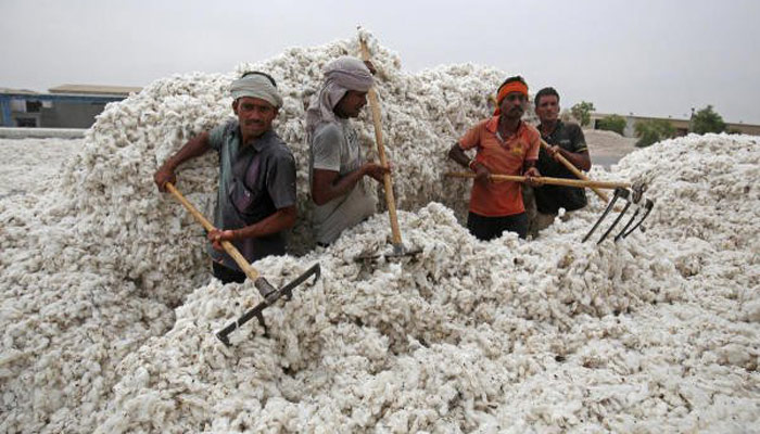 CAI retained cotton projections at 354.5 lakh bales for 2019-20