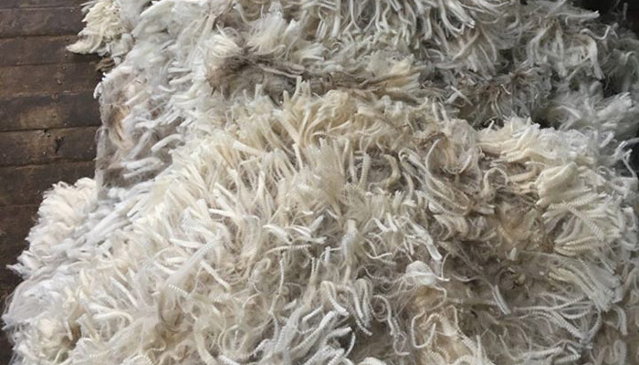 The radical change sale results at Australian wool auctions