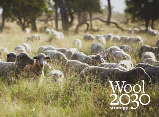 The Australian Wool Innovation unveils Wool 2030 strategy