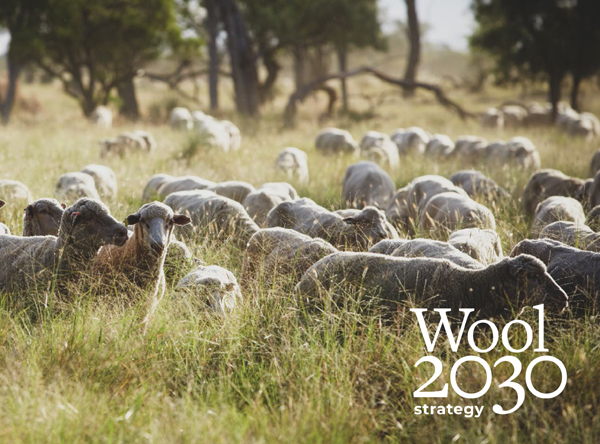 The Australian Wool Innovation unveils Wool 2030 strategy