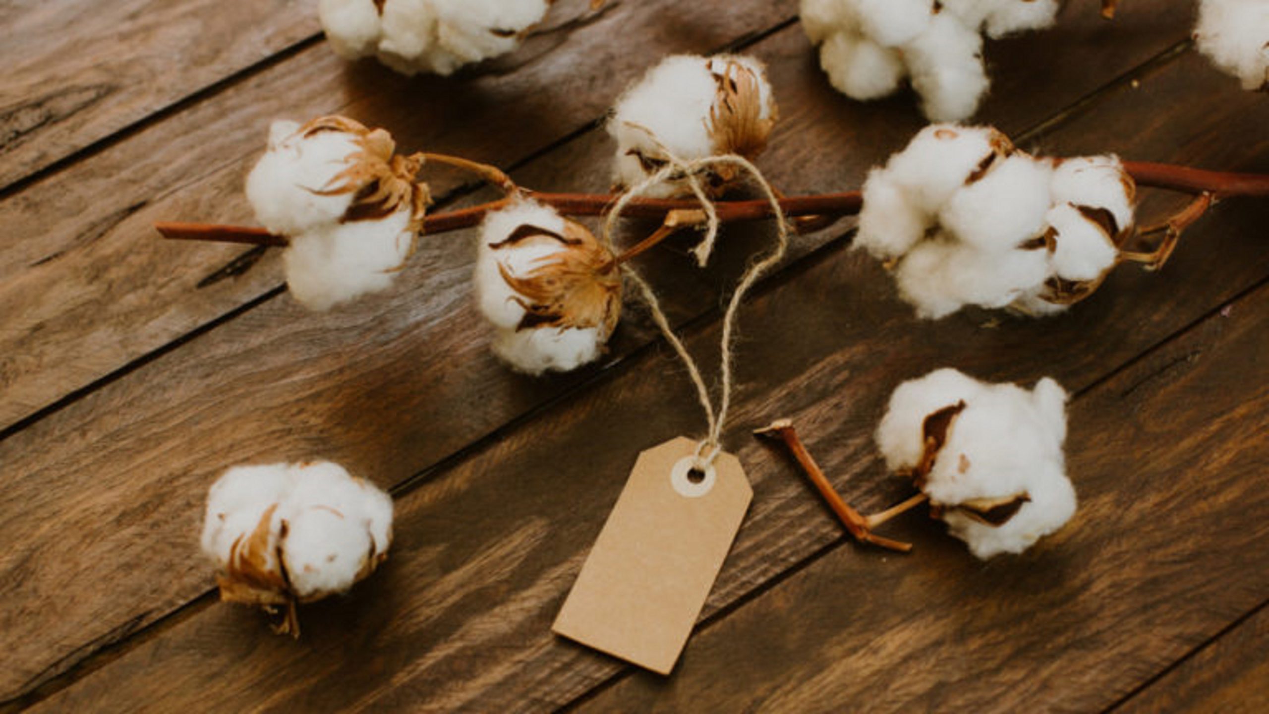 Israeli Cotton Board trials tracing technology