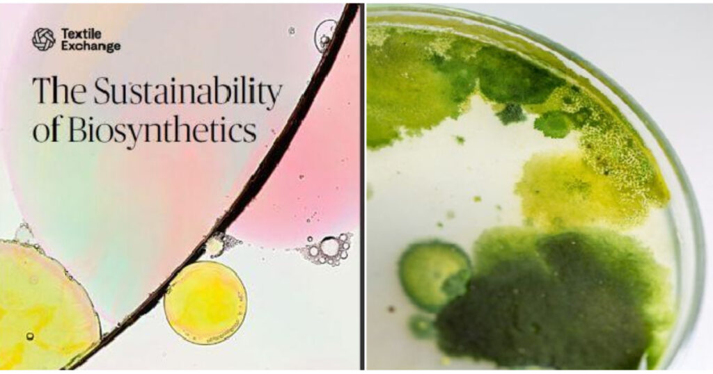 Biosynthetics can be part of the fashion and textile industry’s journey ...