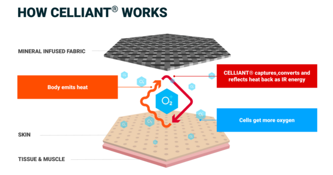 Hologenix®, creators of CELLIANT®, celebrates 20-year anniversary with ...