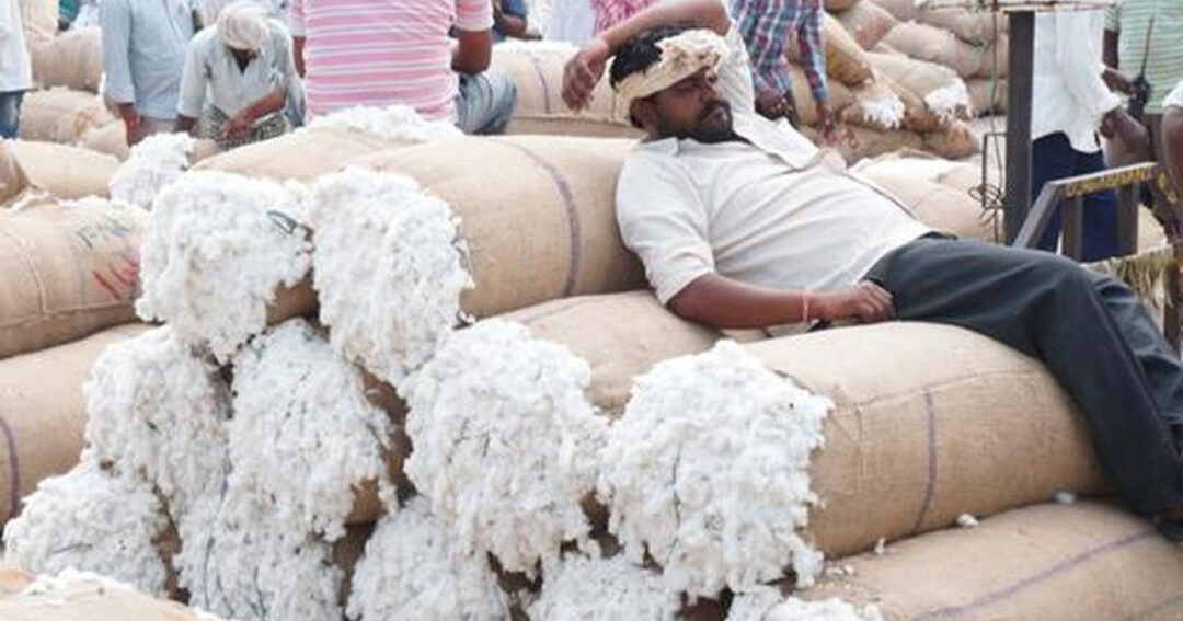 Compulsory certification for Indian cotton; Minister approves QCO