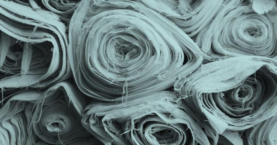 Transform Textile Waste into Feedstock