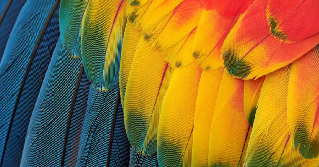 DuPont™ Artistri® Inks announces partnership with Colourtex Industries ...