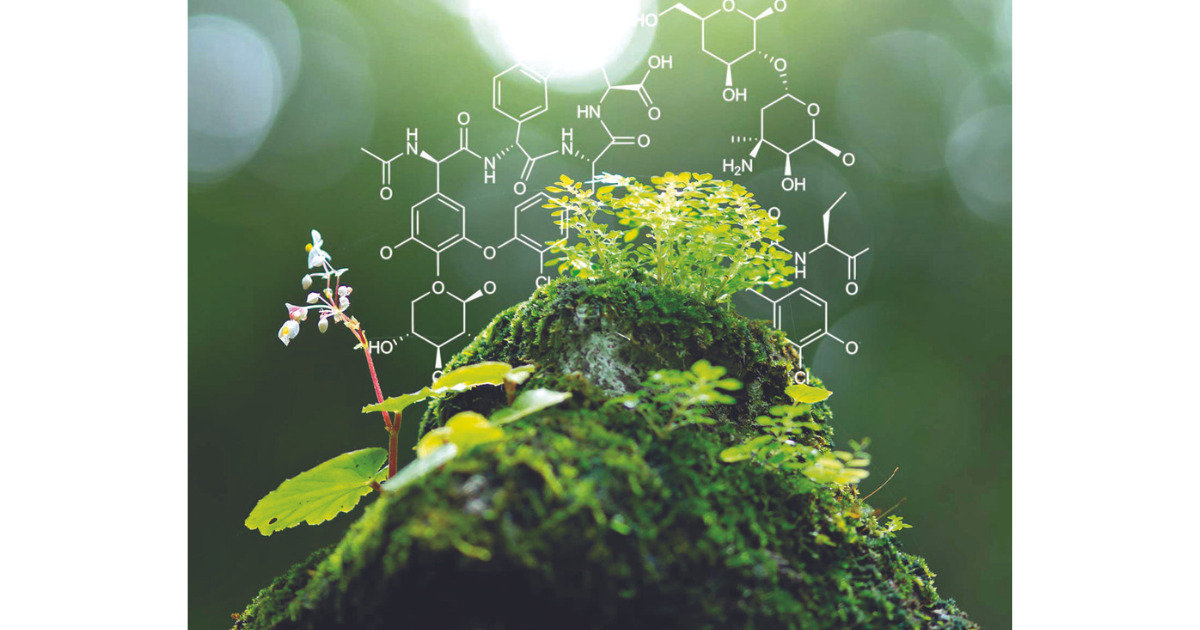 Advancing Bio-based manufacturing with Industry 4.0