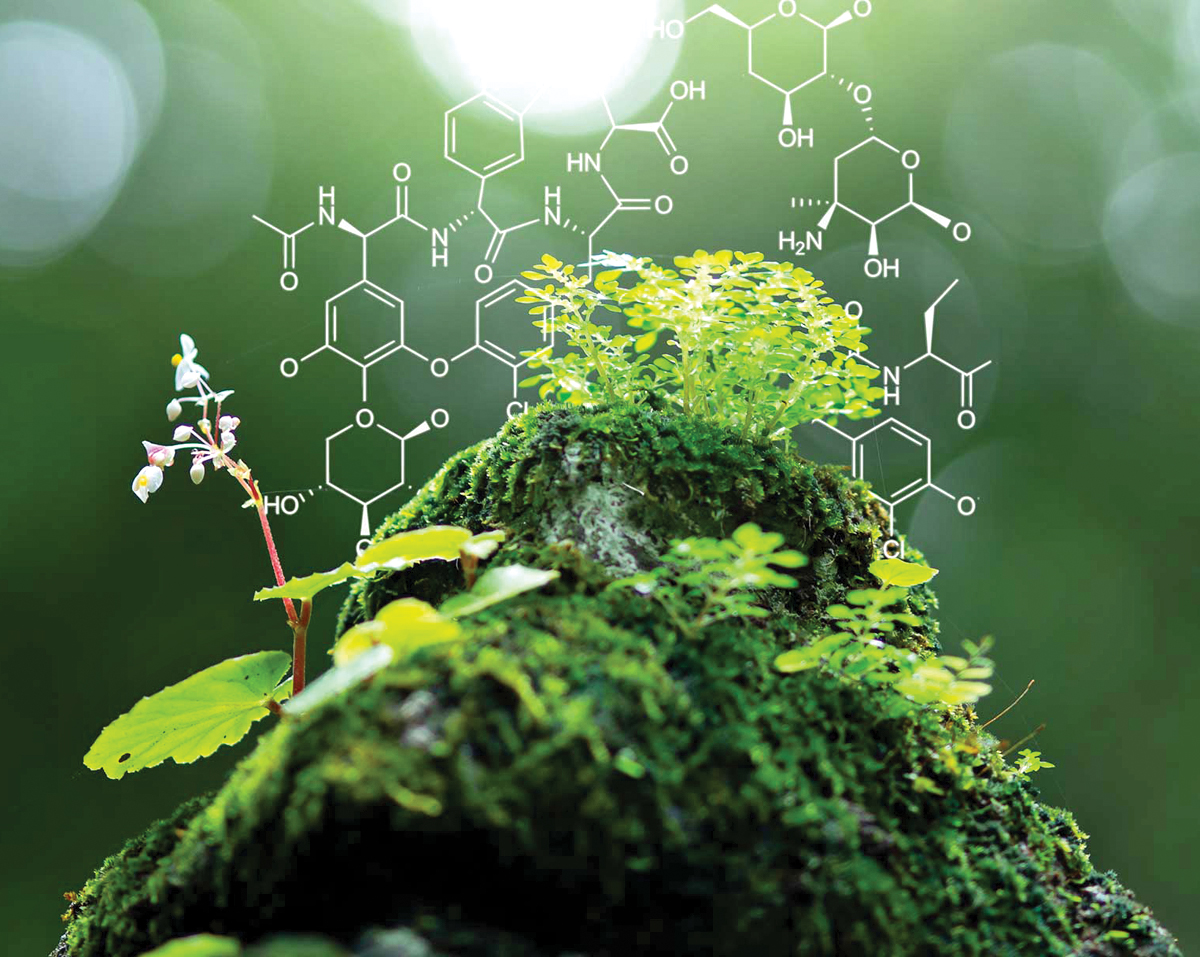 Advancing Bio-based manufacturing with Industry 4.0