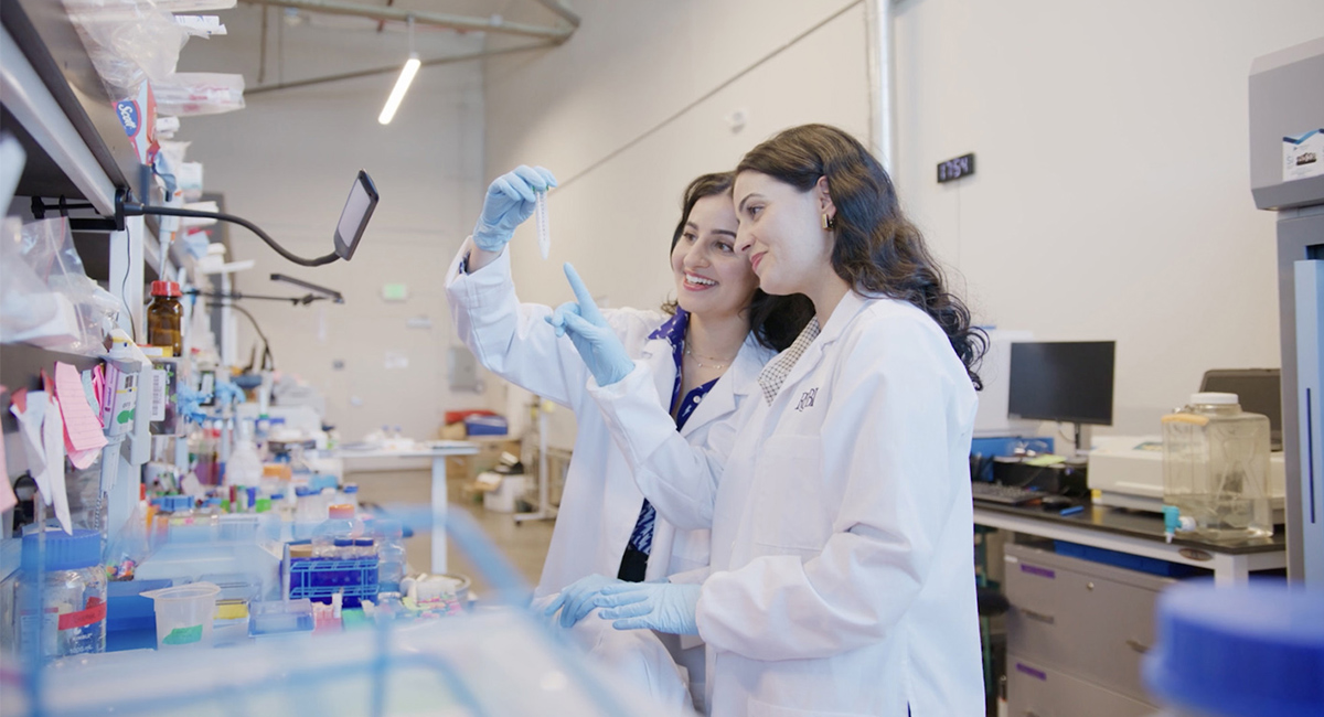 Zero-waste carbon capture pilot launched by Walmart and Rubi Laboratories