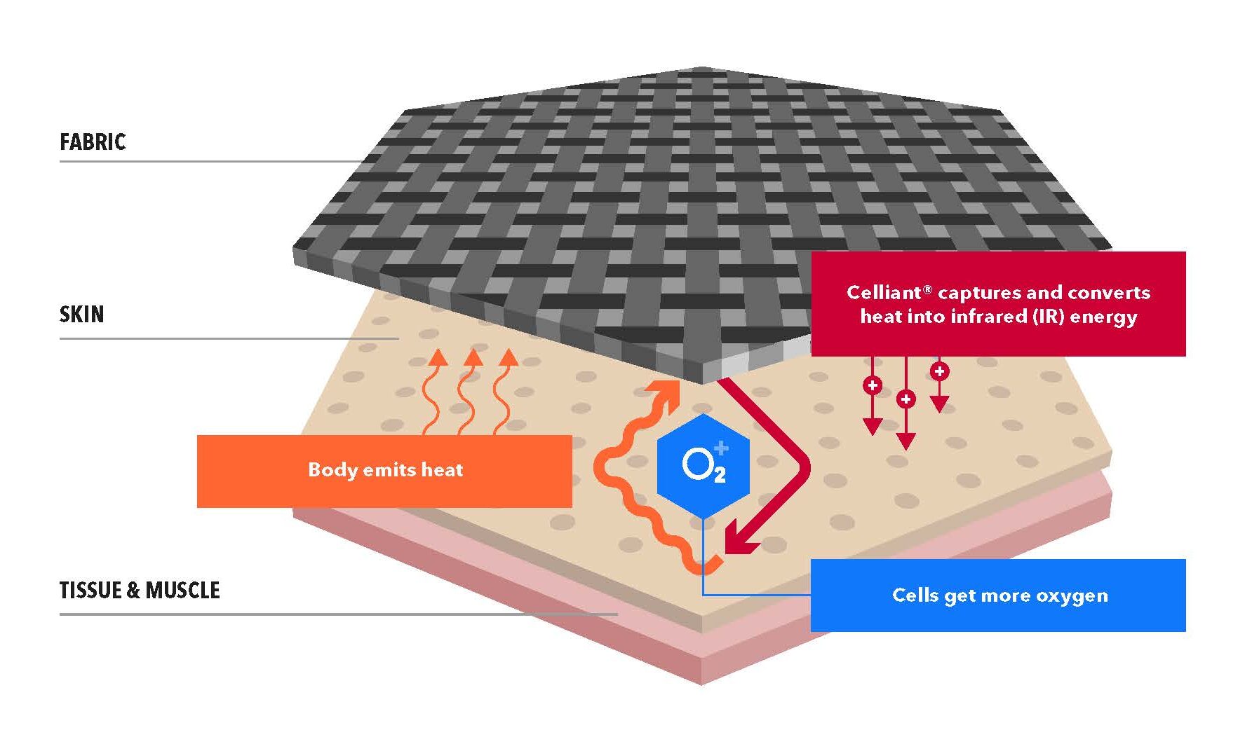 CELLIANT® with REPREVE® Nylon and CELLIANT® print both win in fibers ...