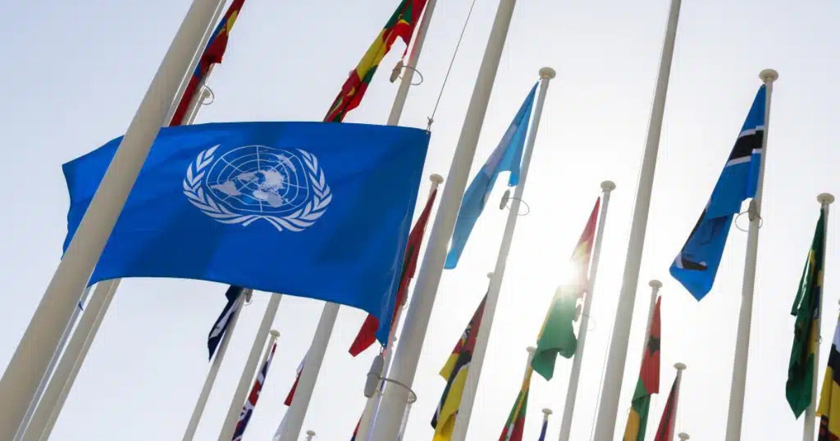 Better Cotton joins forces with UN initiative to empower SMEs in global ...