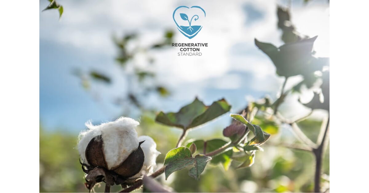 AbTF expands to India through Regenerative Cotton Standard