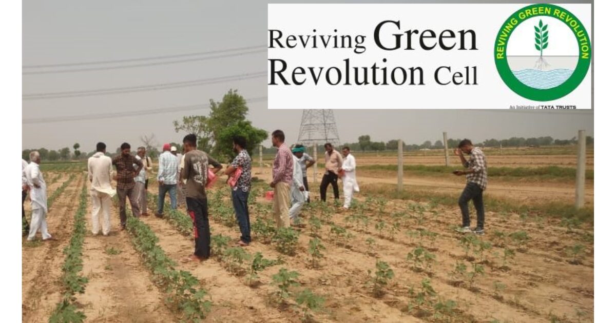 Sportking India collaborates with ATGC Biotech, reviving green ...